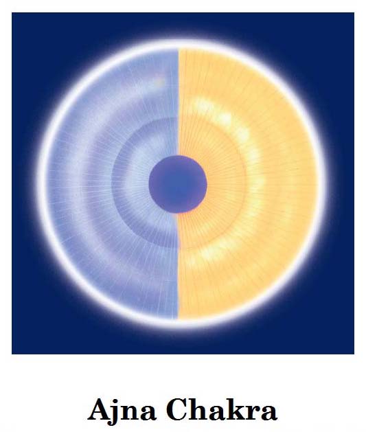 Step 2 – How to Heal Yourself And Others – Understanding Your Chakras ...
